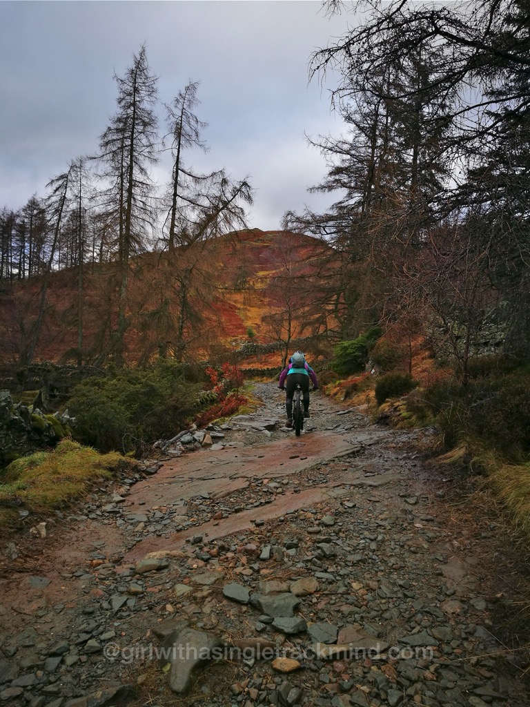 Ambleside Loop – Loughrigg Fell, Iron Keld and Hodge Close | Girl with ...